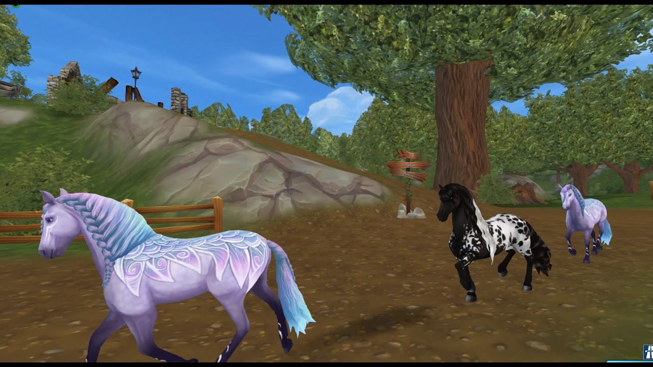 dressage video sso Ayla/fries - YouTube