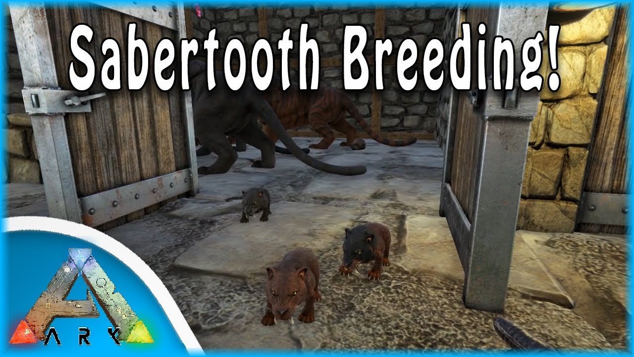 SABERTOOTH KITTENS | Ark: Survival Evolved - YouTube