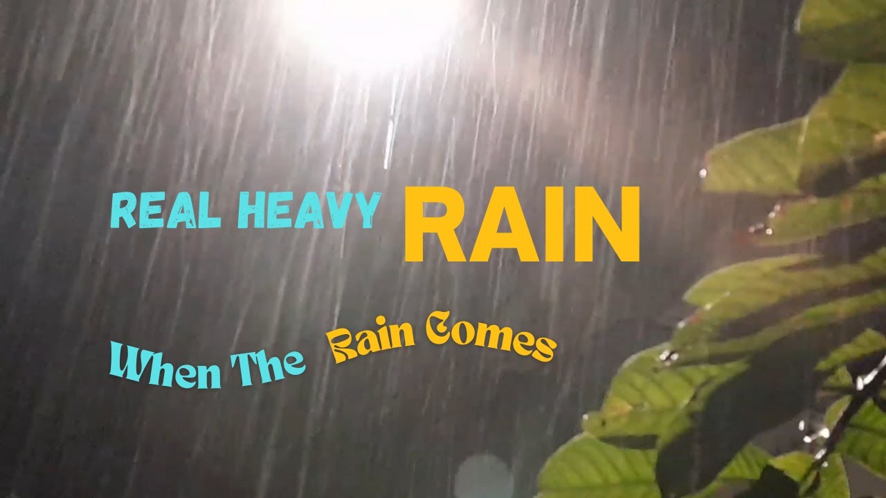 Real rain, drizzle. for Relax and Sleepy - YouTube