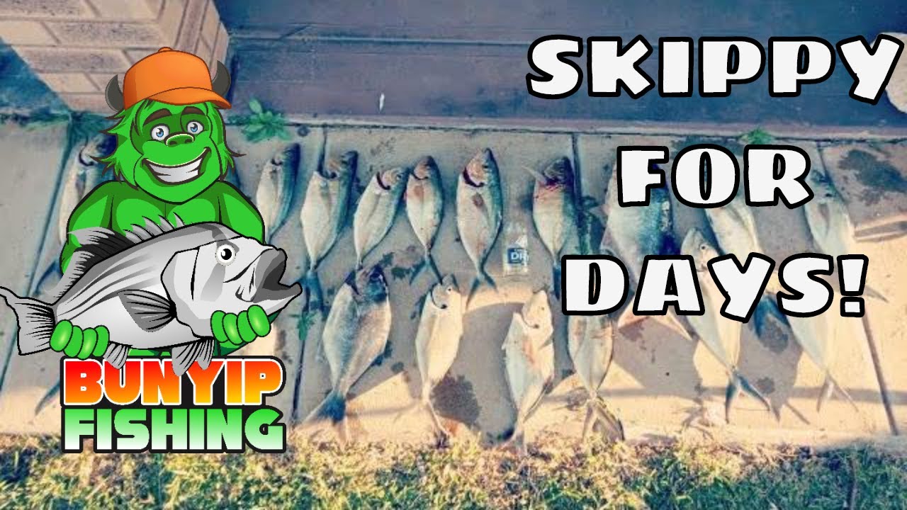 Awesome skippy session! skippy fishing out from Safety Bay Western ...