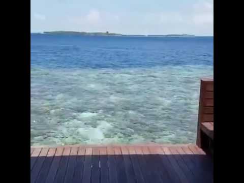 İşte tamda olmak istediğim yer