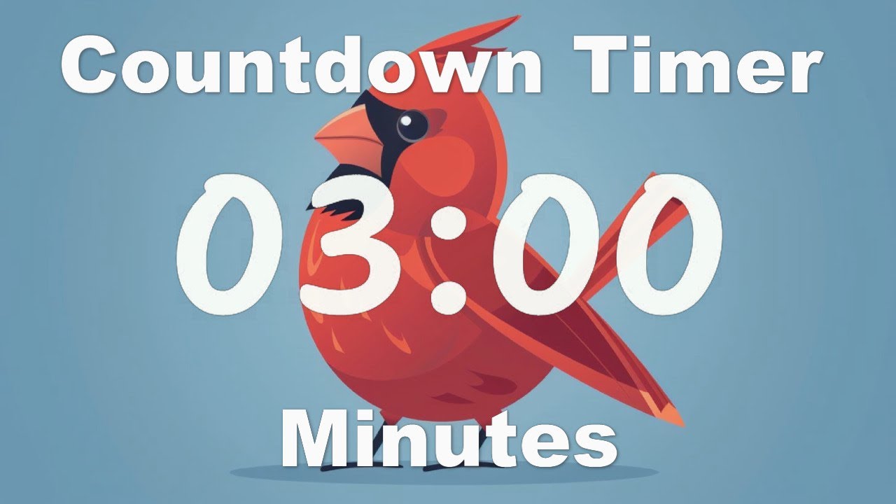 3 Minute Timer Red Cardinal (No Music, Bell at the End) - YouTube