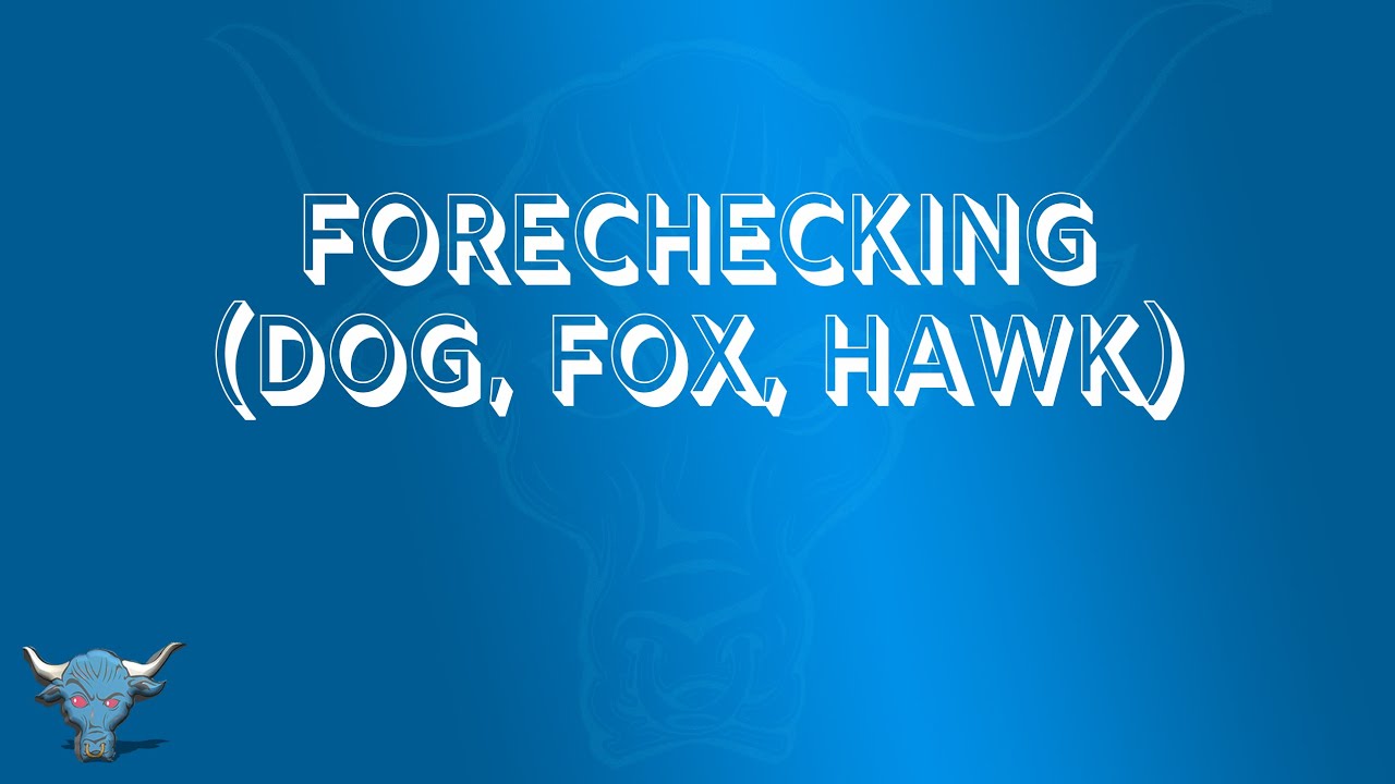 Beer League Coaching Part 3,278: The Dog/Fox/Hawk Forecheck - YouTube
