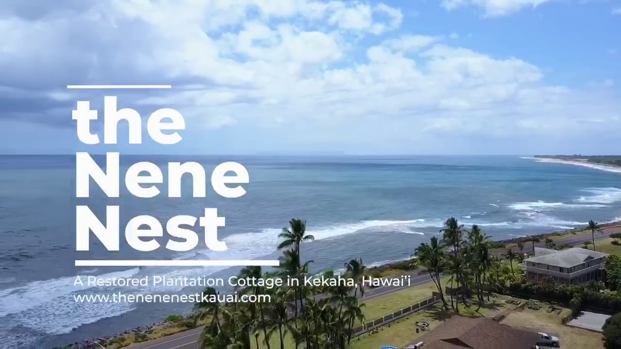 the Nene Nest, Kauai HI - YouTube