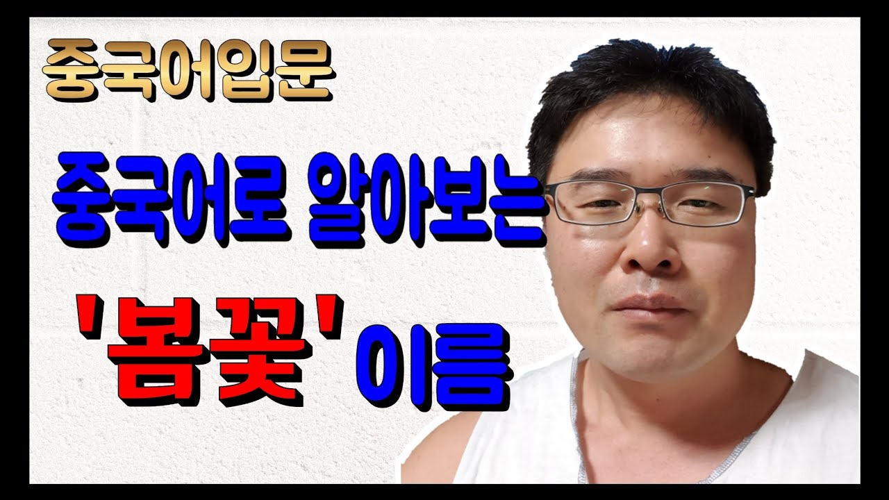 중국어배우기 중국어 회화 중국어기초 실전중국어 직장인중국어 중국어로 알아보는 봄꽃이름 중국어를 배울수 있다면