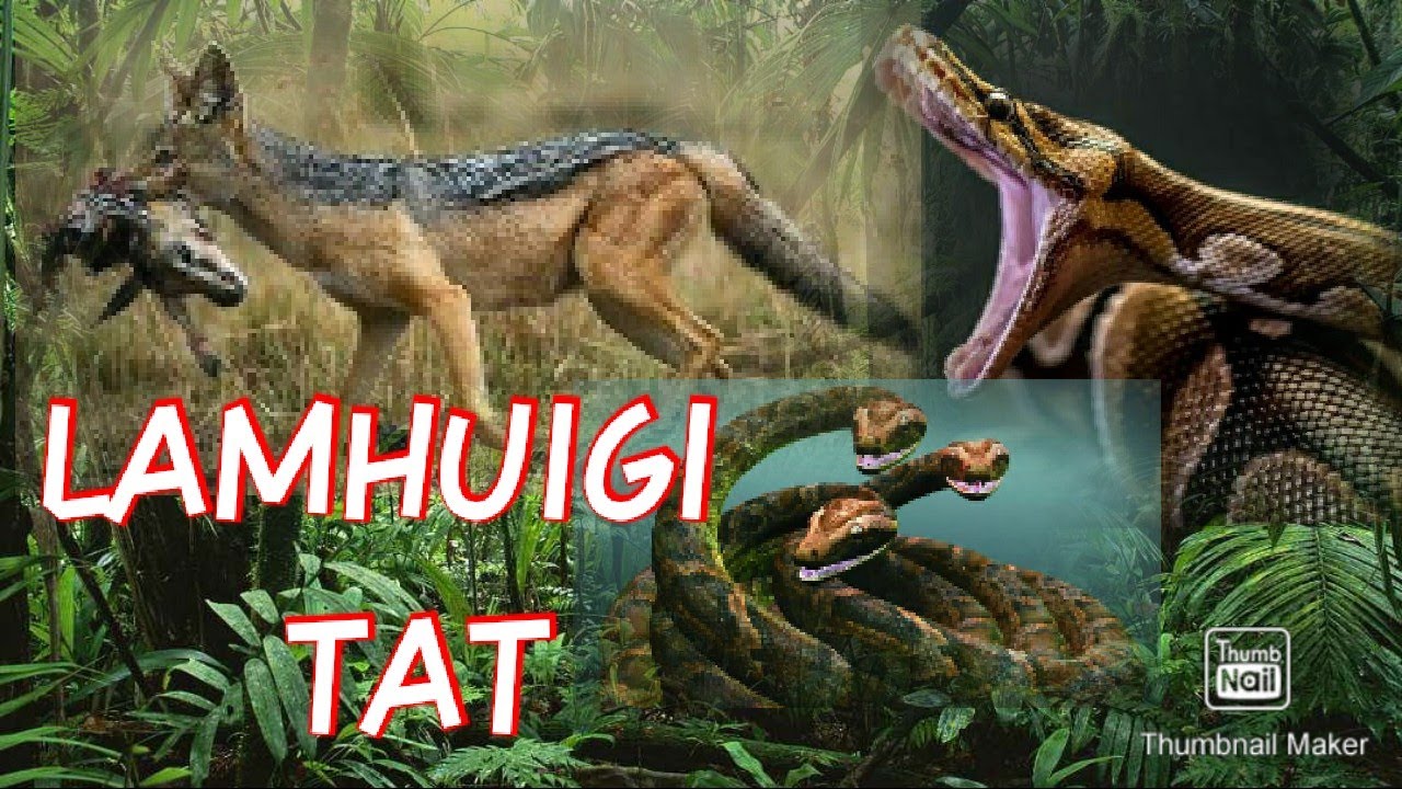 LAMHUIGEE TAT// MANIPURI FUNGA WARI - YouTube