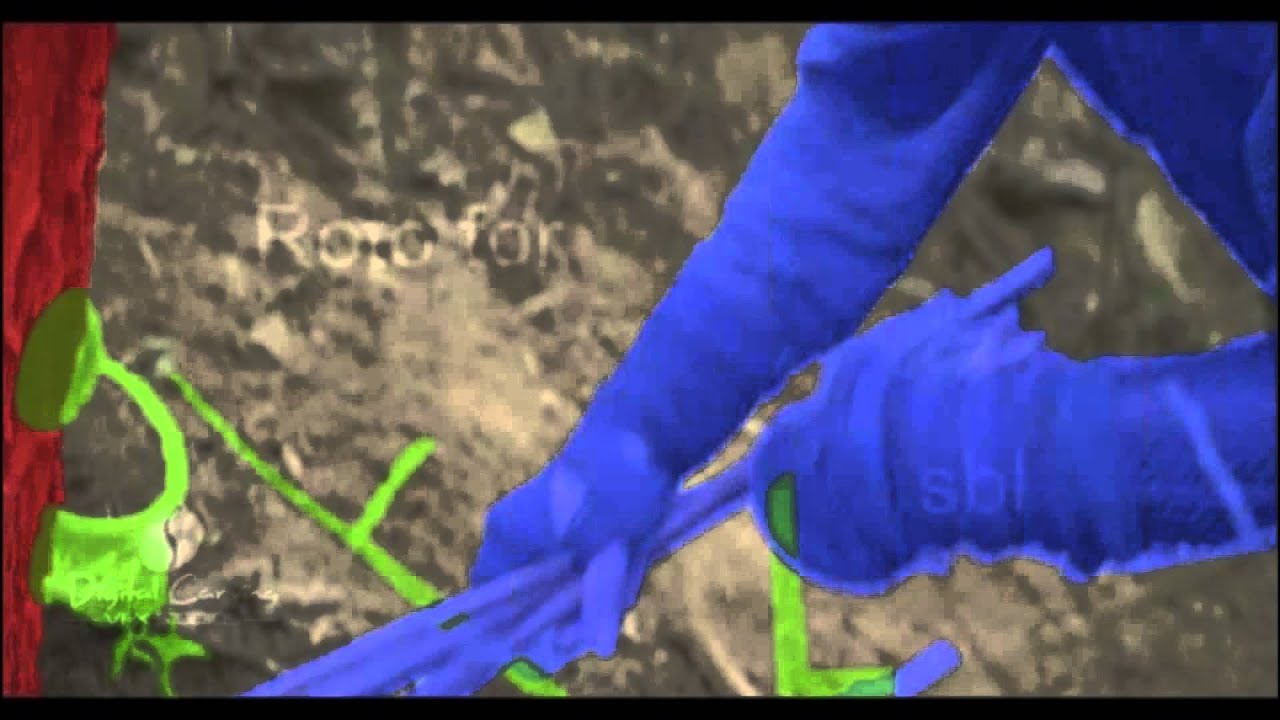 STEREO ROTO SHOW REEL - YouTube