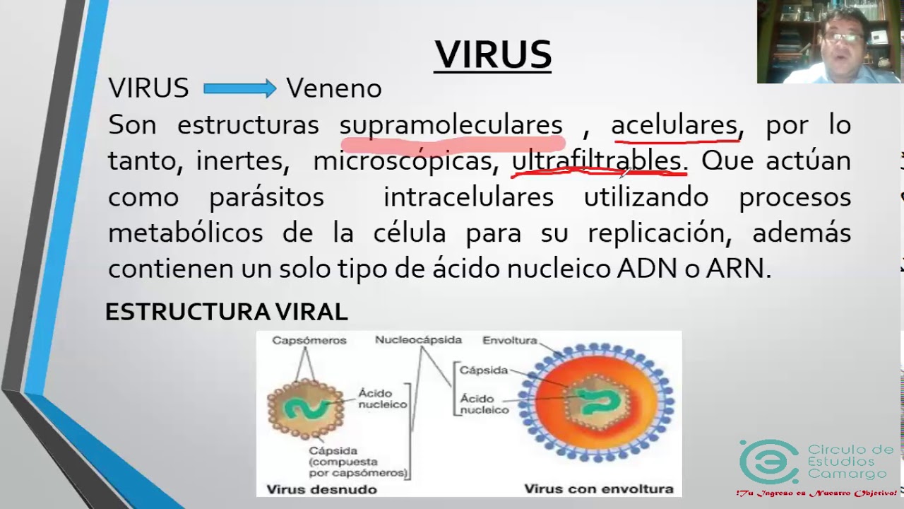 BIOLOGÍA: VIRUS - YouTube