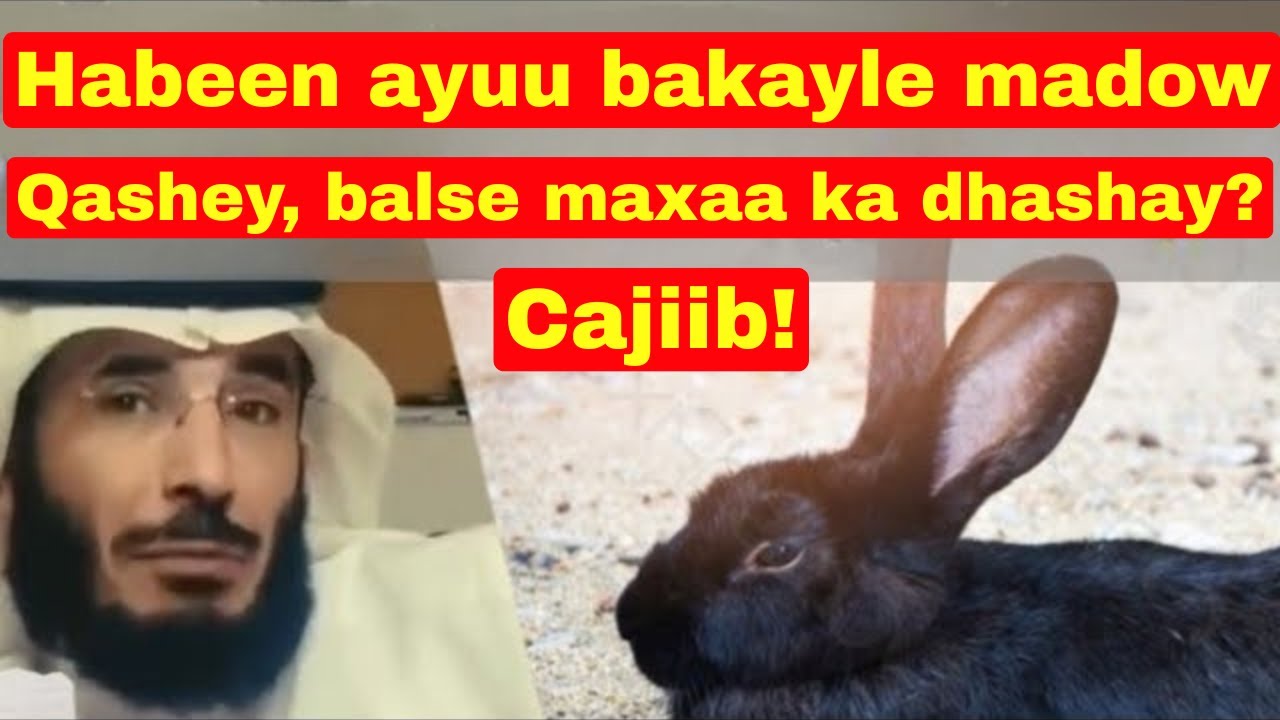 bakeyle madow beerkiisa markii uu cunay ayaa waxaa ku dhacday arrin ...