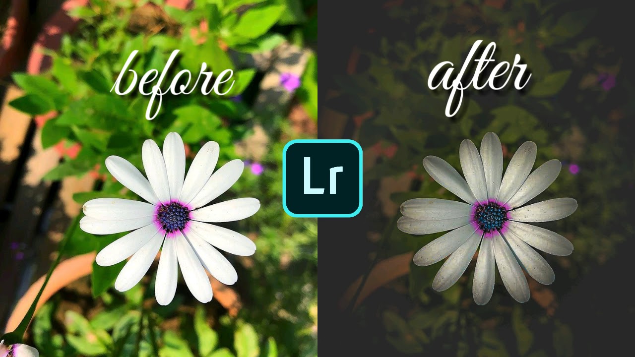 Lightroom cc-flower image editing lightroom mobile tutorial - YouTube