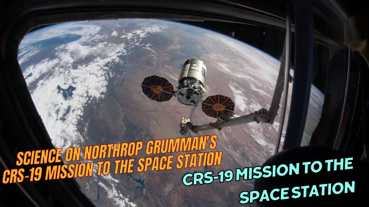 Science on Northrop Grumman's CRS-19 Mission to the Space Station - YouTube