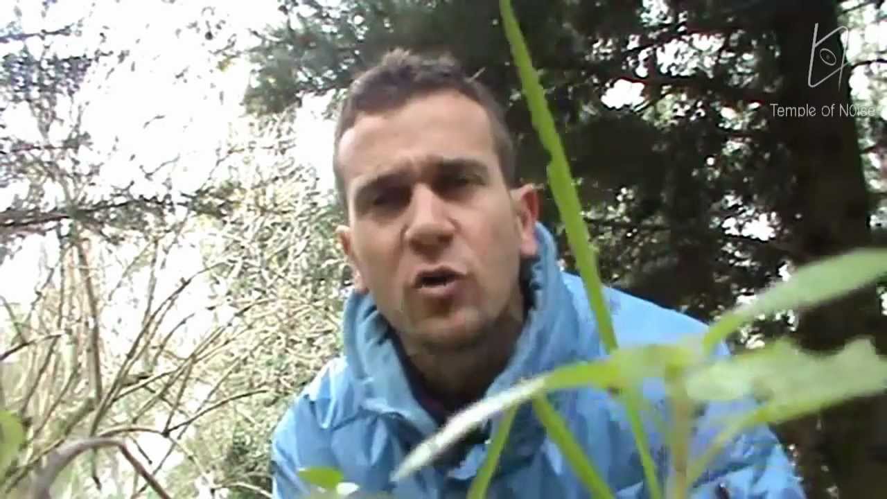 Matteo Montesi - Così Parlò il Profeta - EP.2 "Scopaggio e Astronavi ...