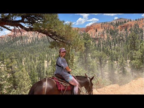 Bryce Canyon Camping & Mule Riding on the Peekaboo Loop - YouTube