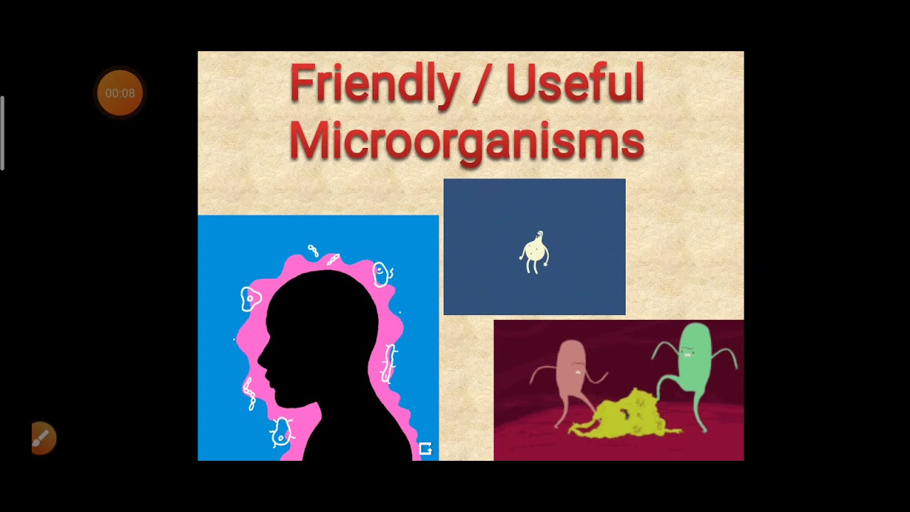 Friendly microorganisms | Class 8 | Science (NCERT) | Chapter 2 | Micro ...