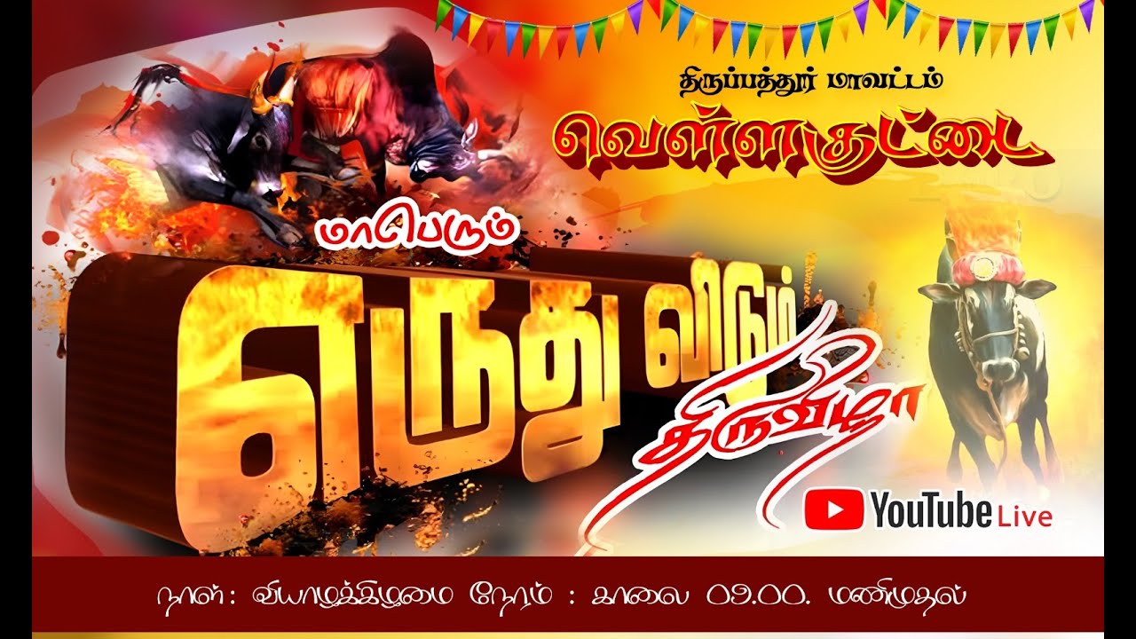 🔴YouTube Live VELLAKUTTAI ERUTHU KATTU 18.01.2024 வெள்ளகுட்டை ...