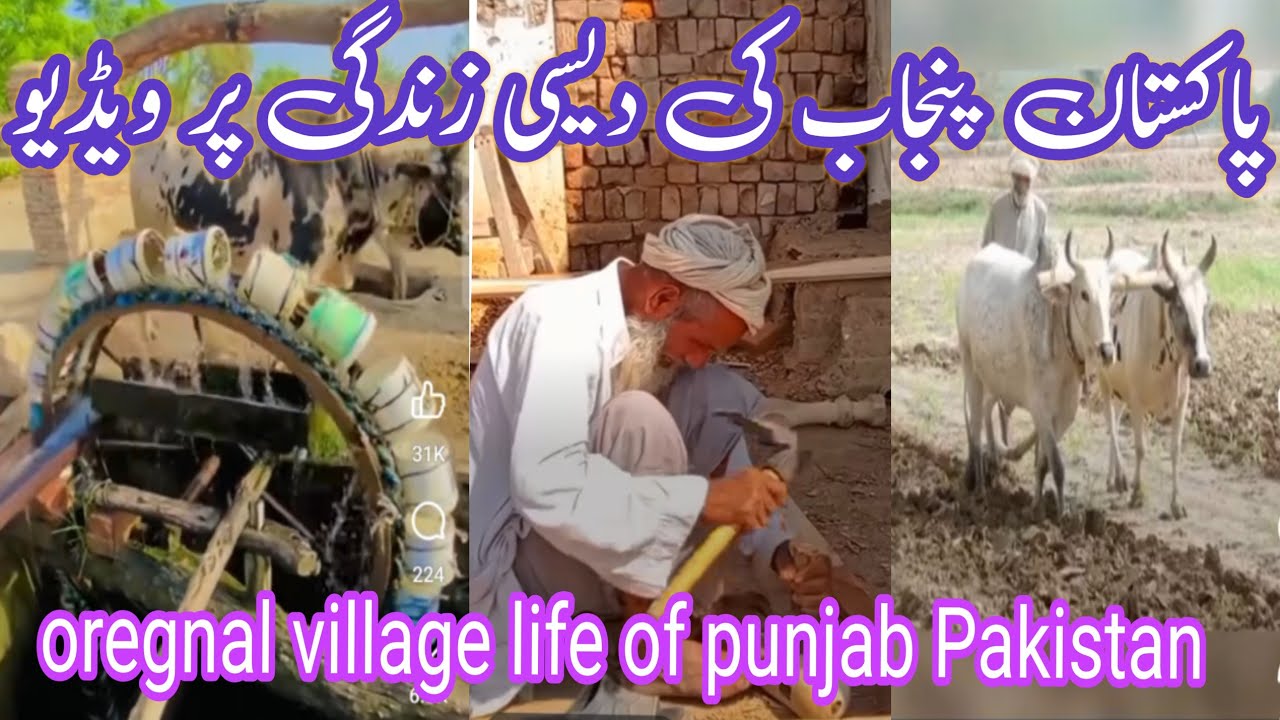 Village Life / Embracing the Rural Simplicity /The Essence of Rural ...