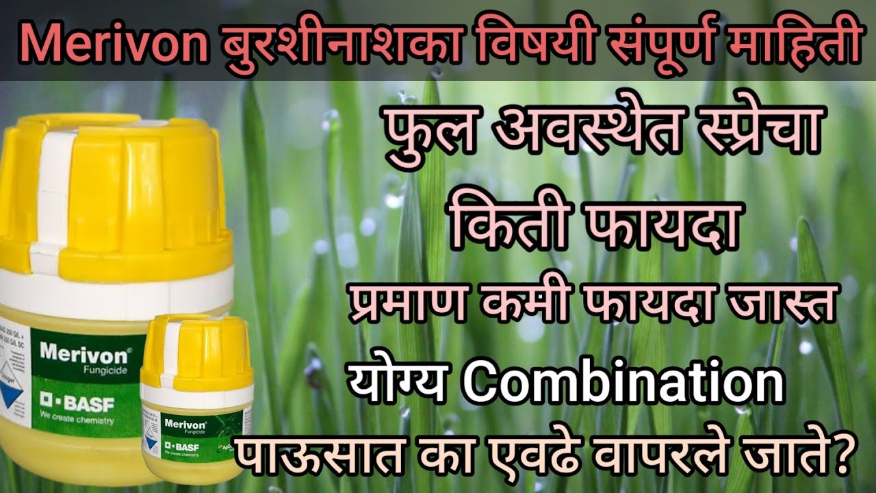 Merivon fungicide | merivon BASF fungicide | merivon विषयी संपूर्ण ...