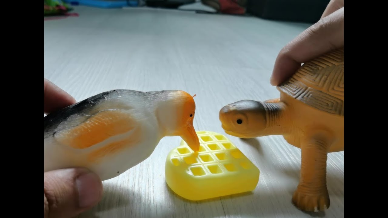 Penguin and Turtle eating cheese - YouTube