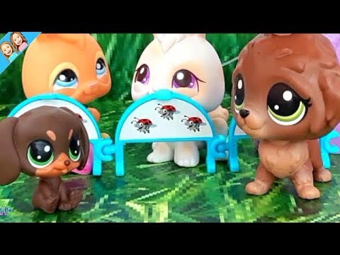 PORTOFEL PLIN CU BANI folosit la farse / LPS / Fireflies kids - YouTube