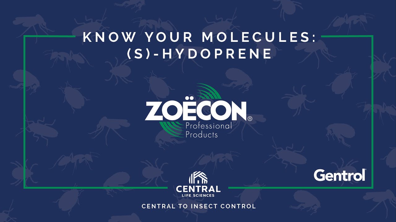 Know Your Molecules: (S)-Hydroprene - YouTube