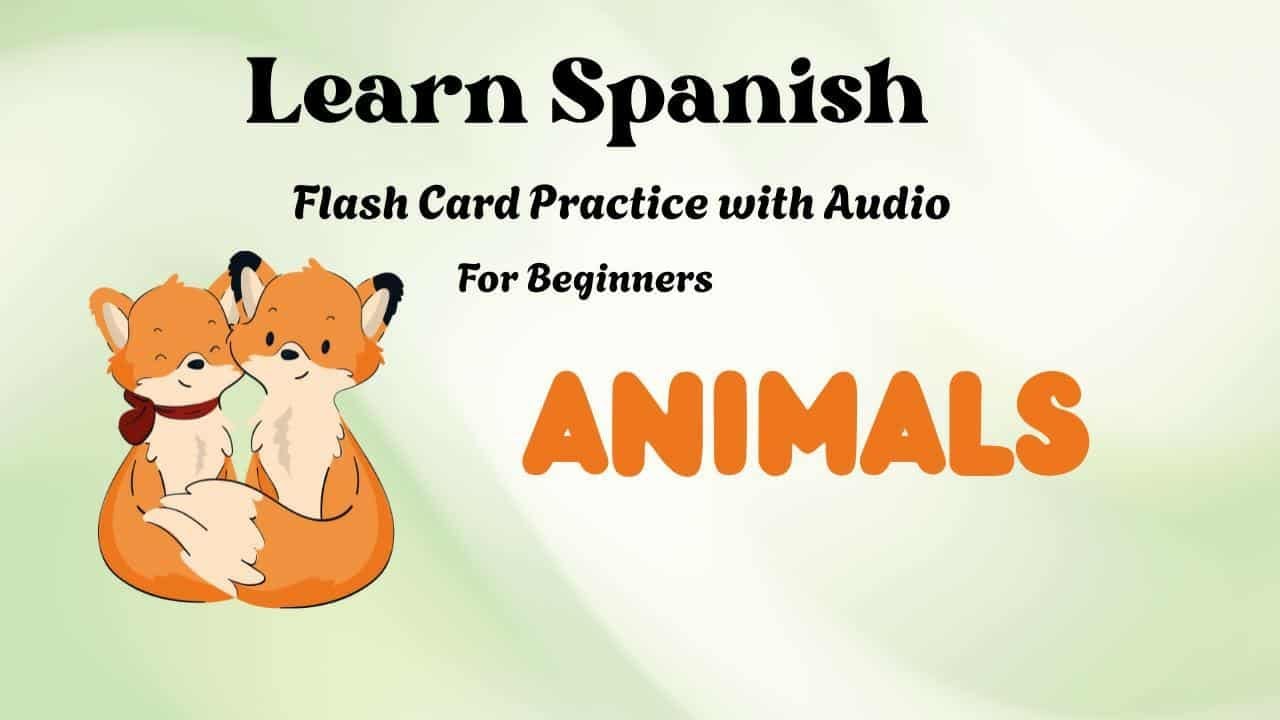 Learn 25 Spanish Words About Animals | Flashcard Practice for Beginners ...