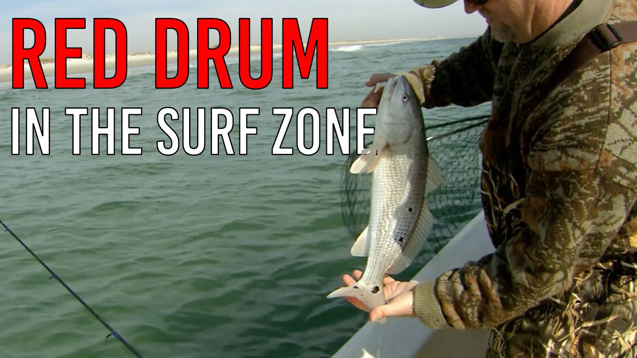 Learn to catch Red Drum fishing in Surf Zone - YouTube