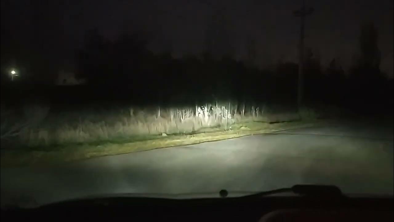 Vizant D20 led lamp H7 - YouTube