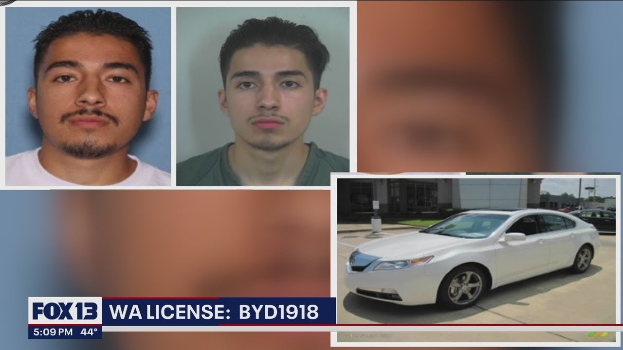 $1,000 reward offered for tip that leads to arrest of Ferndale murder ...