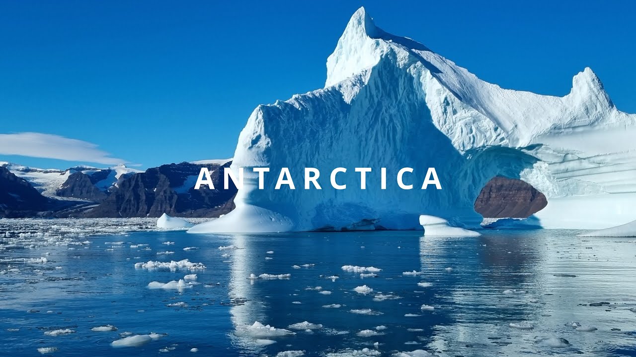 Animals Of The Antarctica | Episode 3 | Short Wildlife Documentary ...