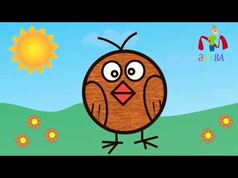 Bayquş balasını necə çəkmək olar? - ƏLİFBA
