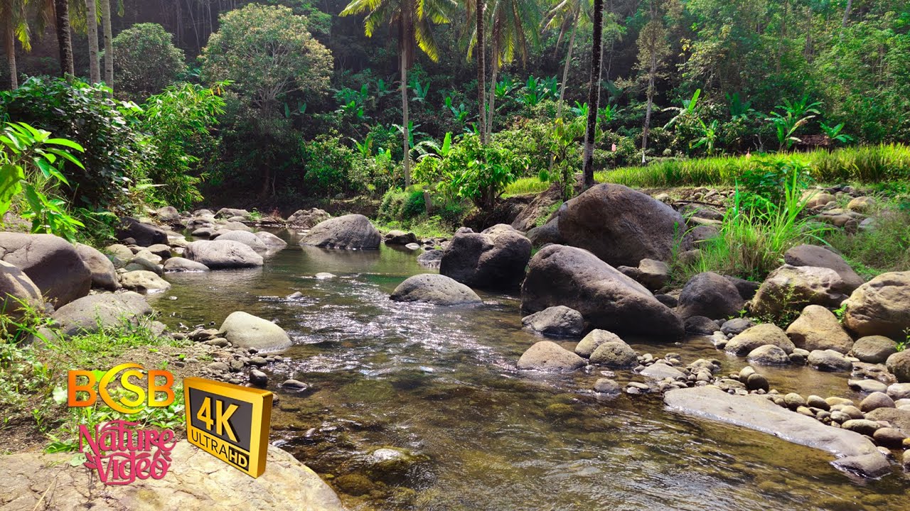 Refreshing River Sounds: Unwind and De-stress | Sons Refrescantes do ...