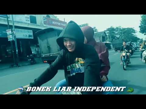 Bonek Lia independent Jember