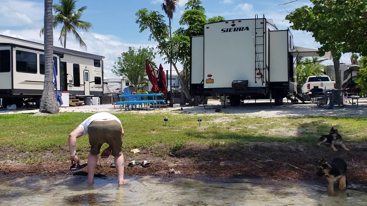 Sunshine Key RV Resort & Marina - YouTube
