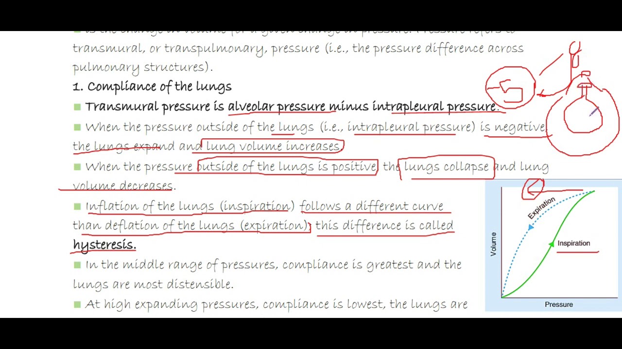 8 Compliance of Lungs & Hysteresis 2.1st year MBBS Respiratory ...