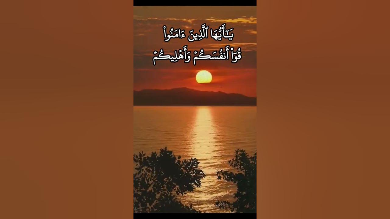 عبدالباسط Abdussamad Abdulsamad يا ايها الذين آمنوا قو أنفسكم