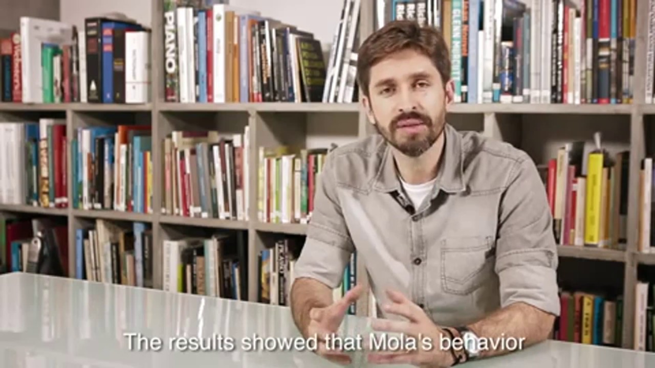 Mola Structural Model. - YouTube