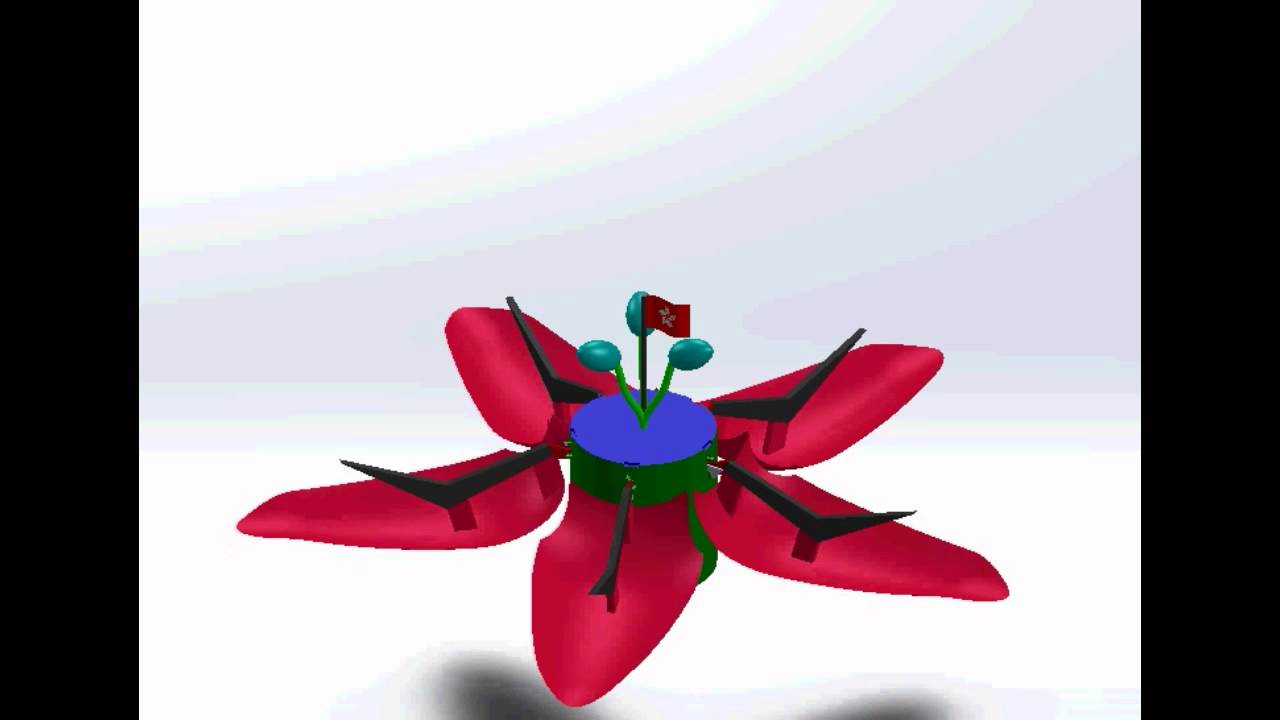 Colin Sledge Flower - YouTube