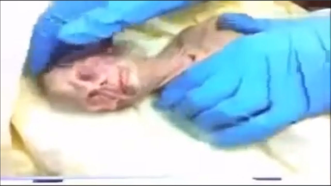 Alien Corpse Dissection | Genuine Leaked Autopsy Film - YouTube