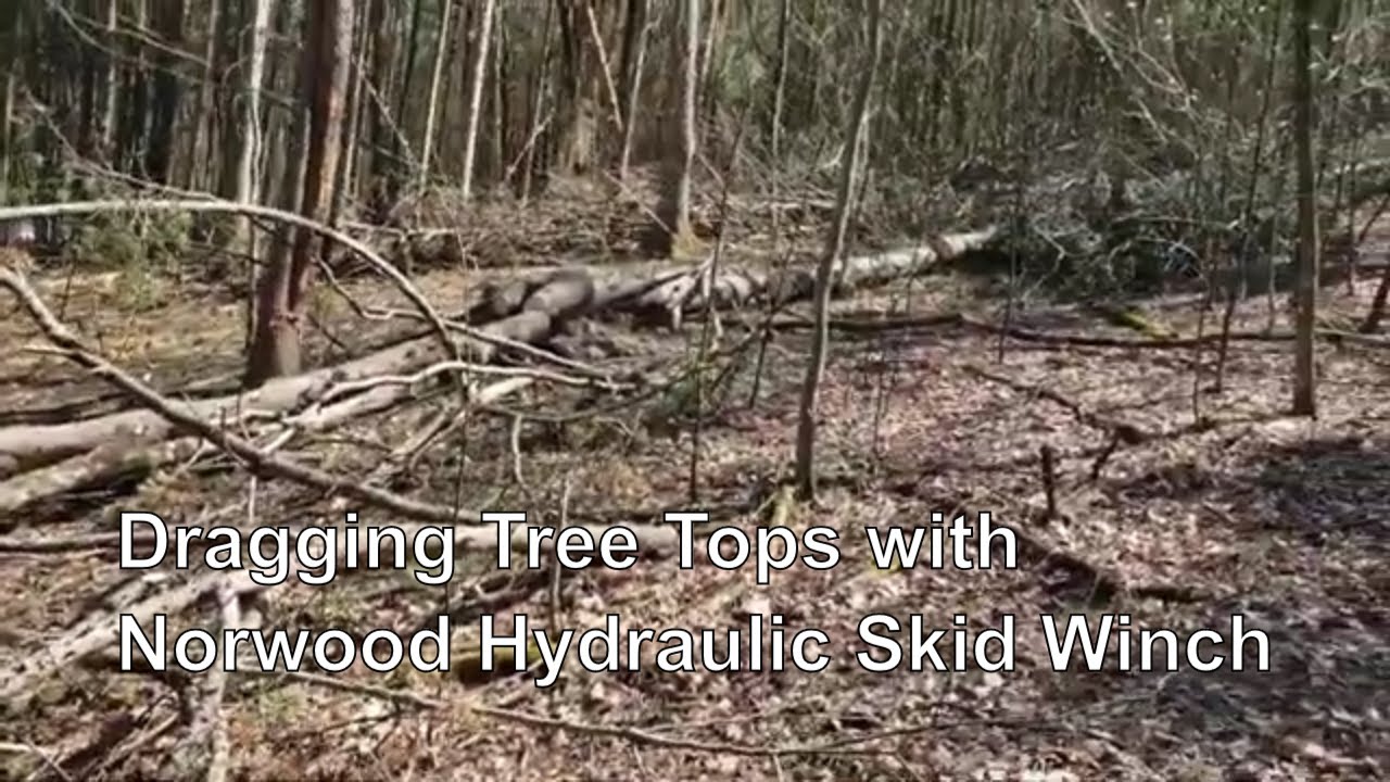 Dragging Tree Tops with Norwood Hydraulic Skid Winch - YouTube