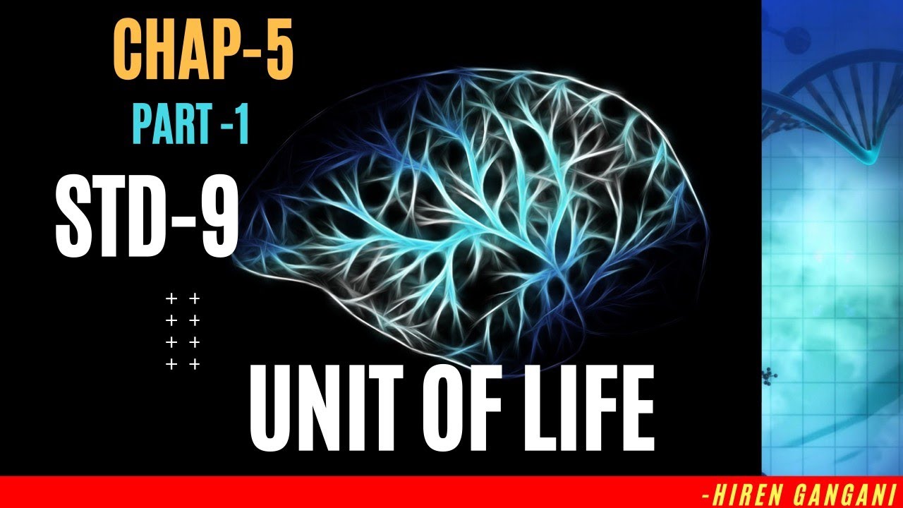 std-9 science. 🔴NCERT Chapter-5(Part -1) - YouTube