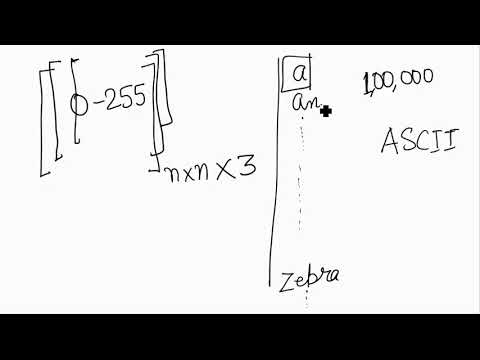 Representing words for deep learning (in Hindi) - YouTube