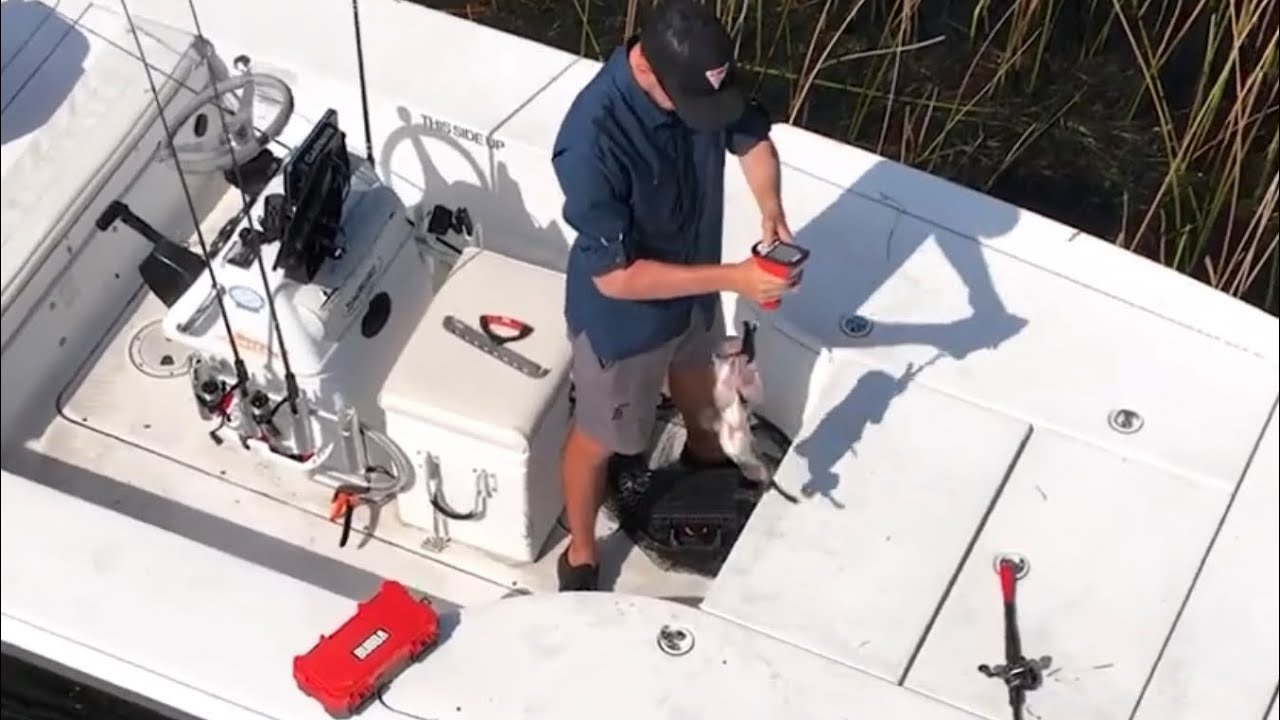 Bubba PRO Series Smart Fish Scale - YouTube