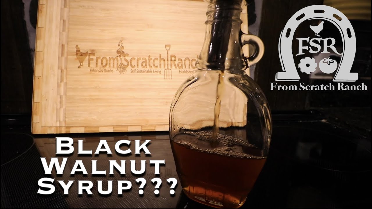 You Can Make Syrup From Black Walnut Trees? What? - YouTube