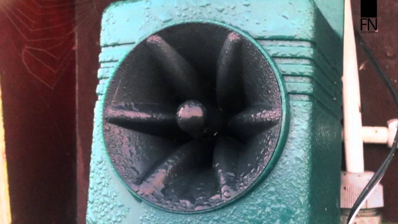 Electronic Scarecrow - Great sound against: pigeon, seagull, sparrow ...