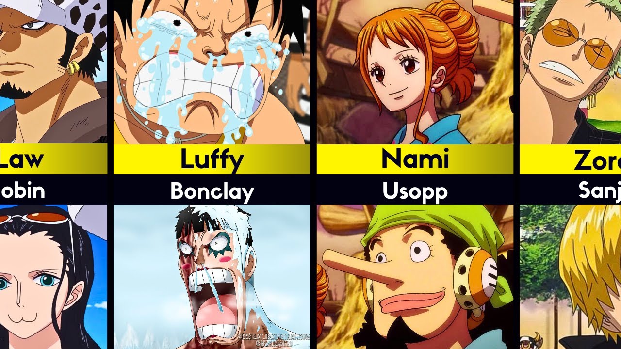 Best Friends Of One Piece Characters - YouTube