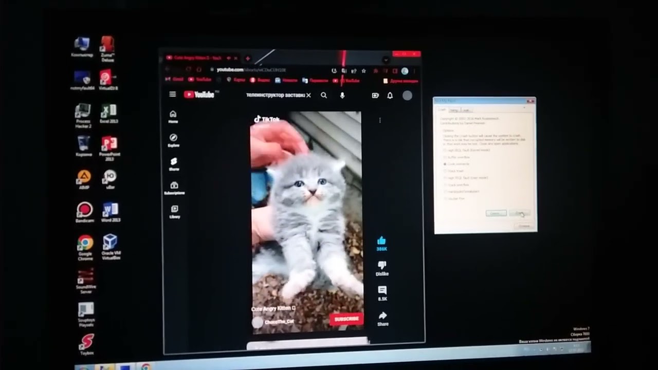 Cat Scream has BSOD - YouTube