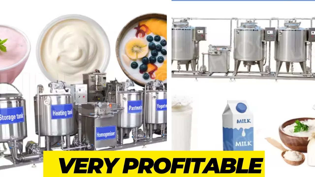 Starting a Yogurt Business in Africa Today is the most PROFITABLE ...