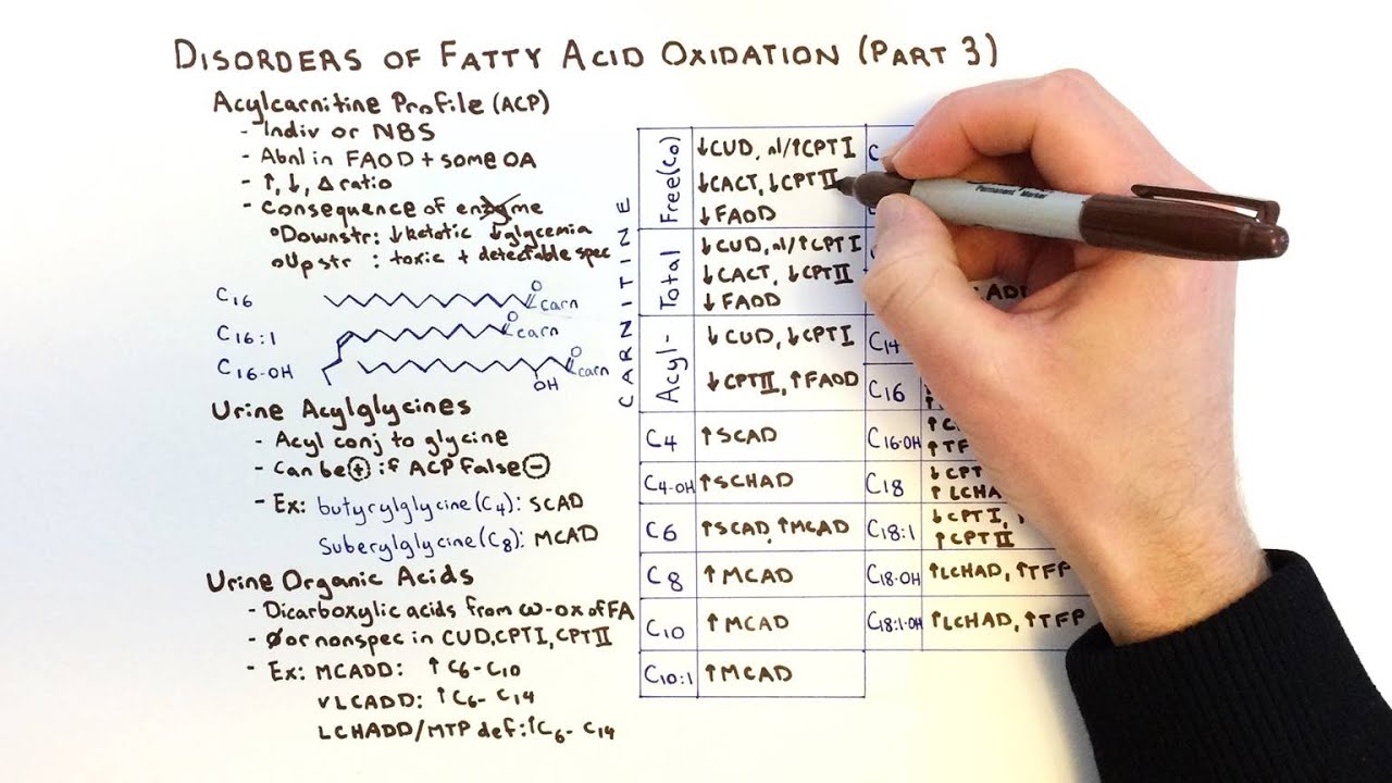 Disorders of Fatty Acid Oxidation (3 of 3) - YouTube