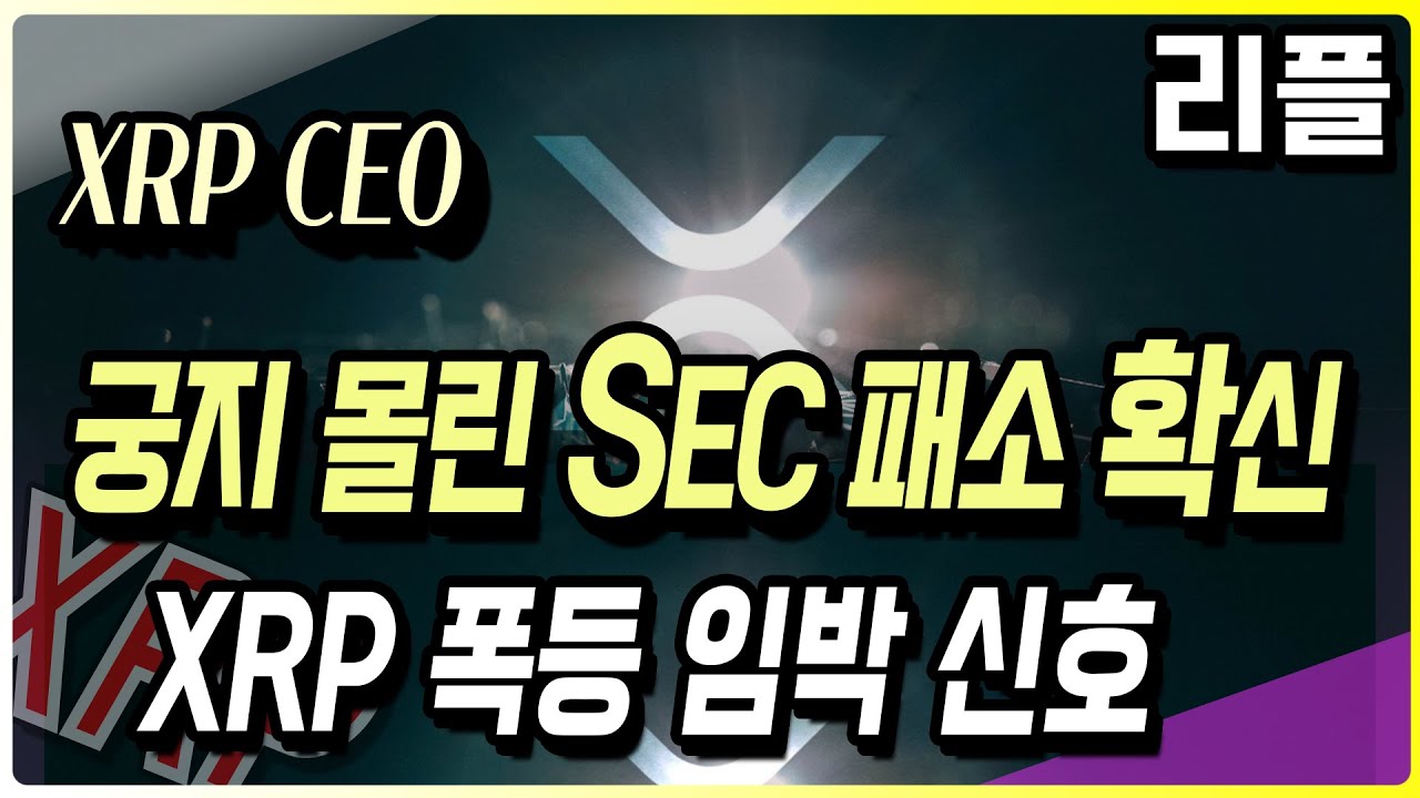 궁지에 몰린 Sec 패소 확신 리플 Xrp 대폭등이 임박했습니다 리플 리플전망 리플코인 Youtube