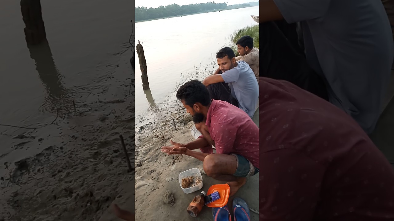 Coming to catch fish in the river with borsi#shortvideo - YouTube